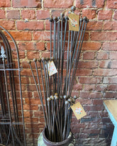 Susie Ripley Gardening - Flower Seed Supplier NZ