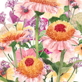 Susie Ripley Gardening - Flower Seed Supplier NZ