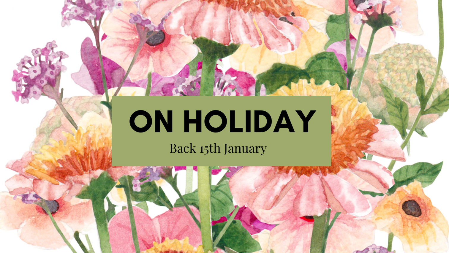 Susie Ripley Gardening - Flower Seed Supplier NZ