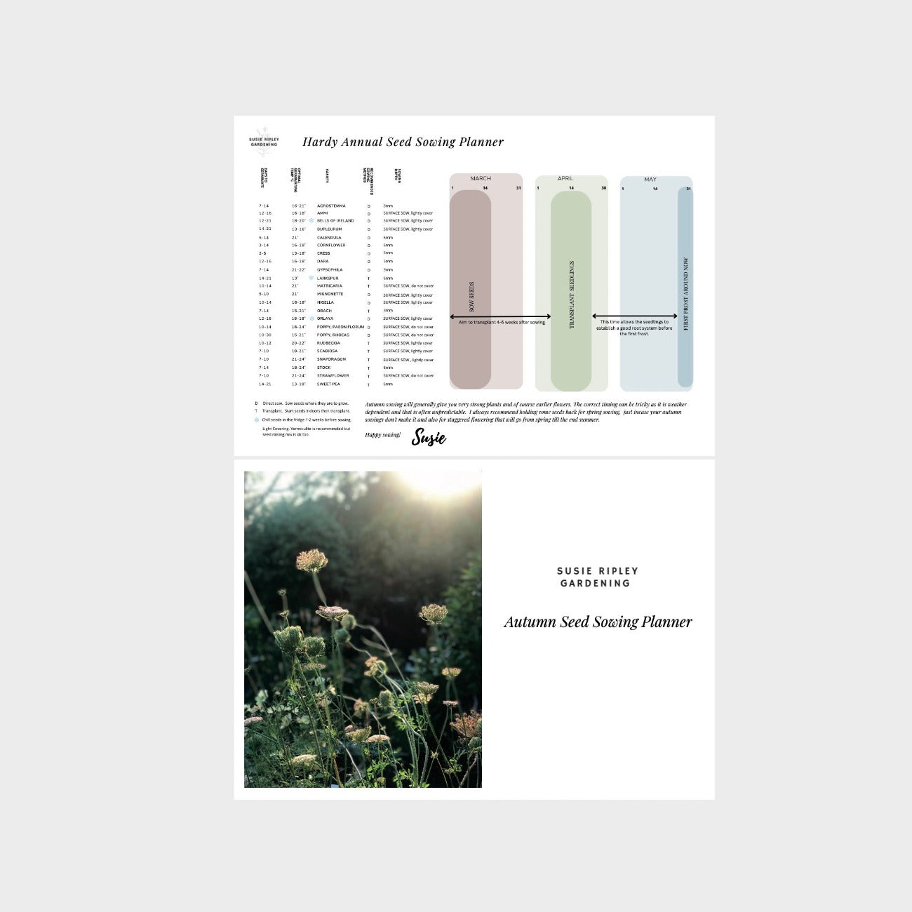 Laminated Autumn Seed Sowing Plan – Susie Ripley Gardening