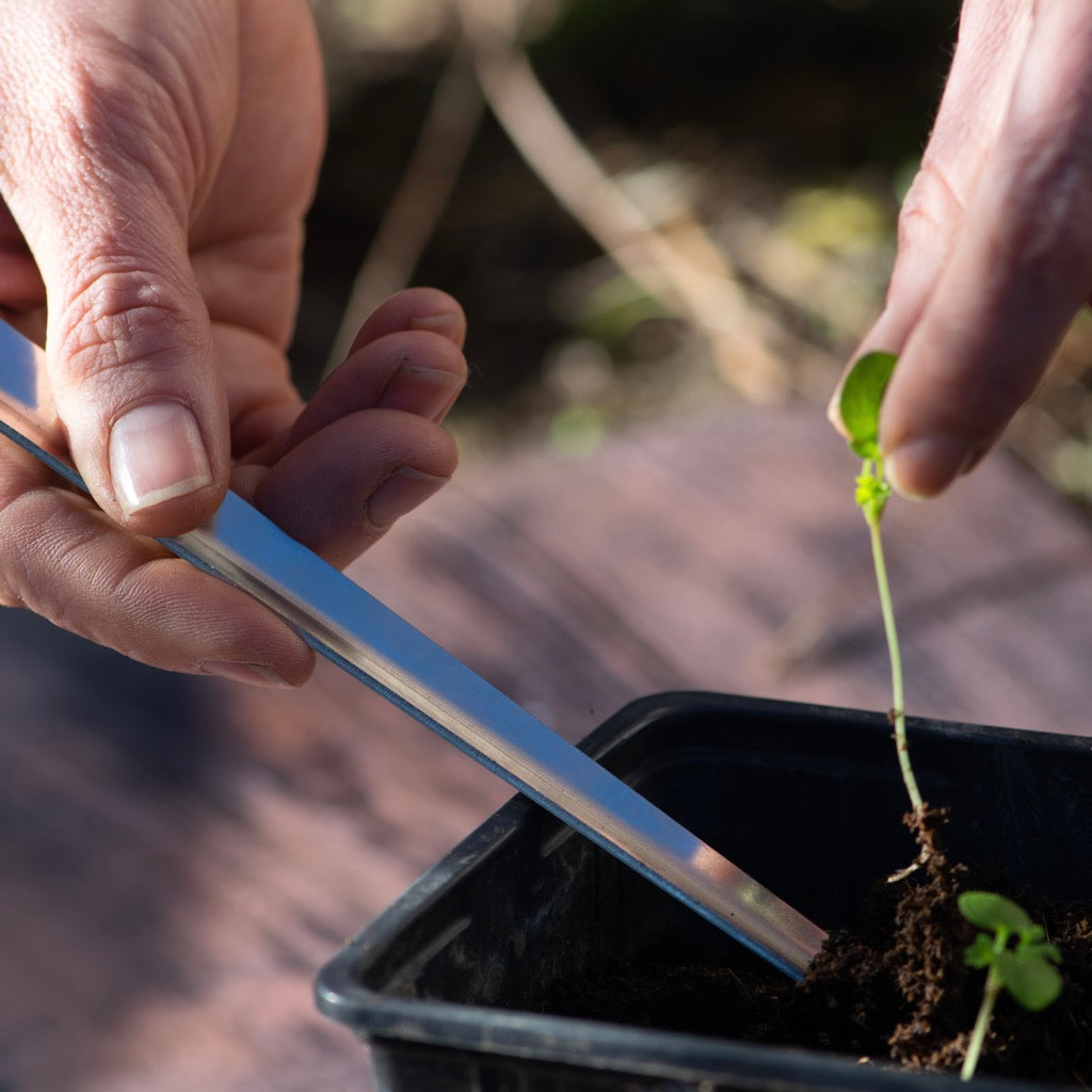 Widger – Susie Ripley Gardening